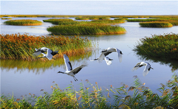 Panjin, China – International Urban Cooperation (IUC) Asia